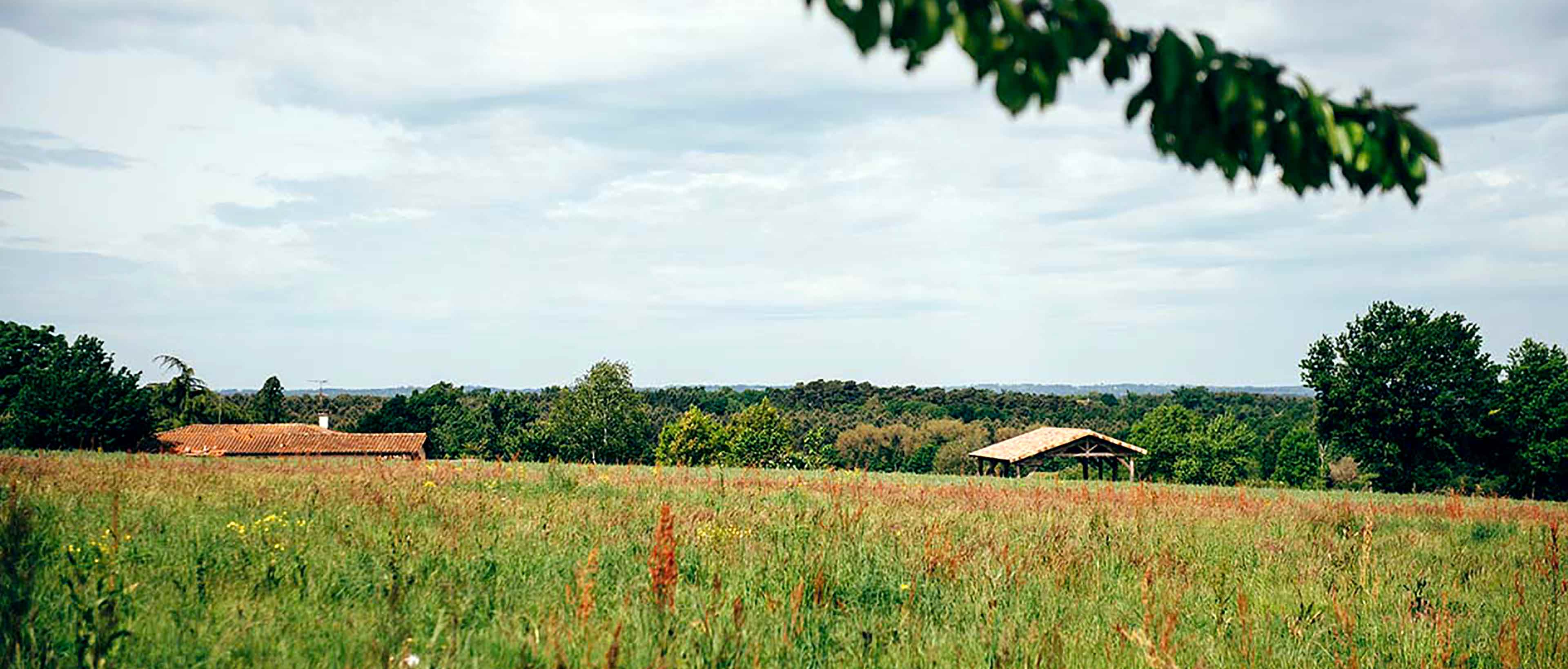 Le cluster ruralité monte en puissance | La région Nouvelle-Aquitaine