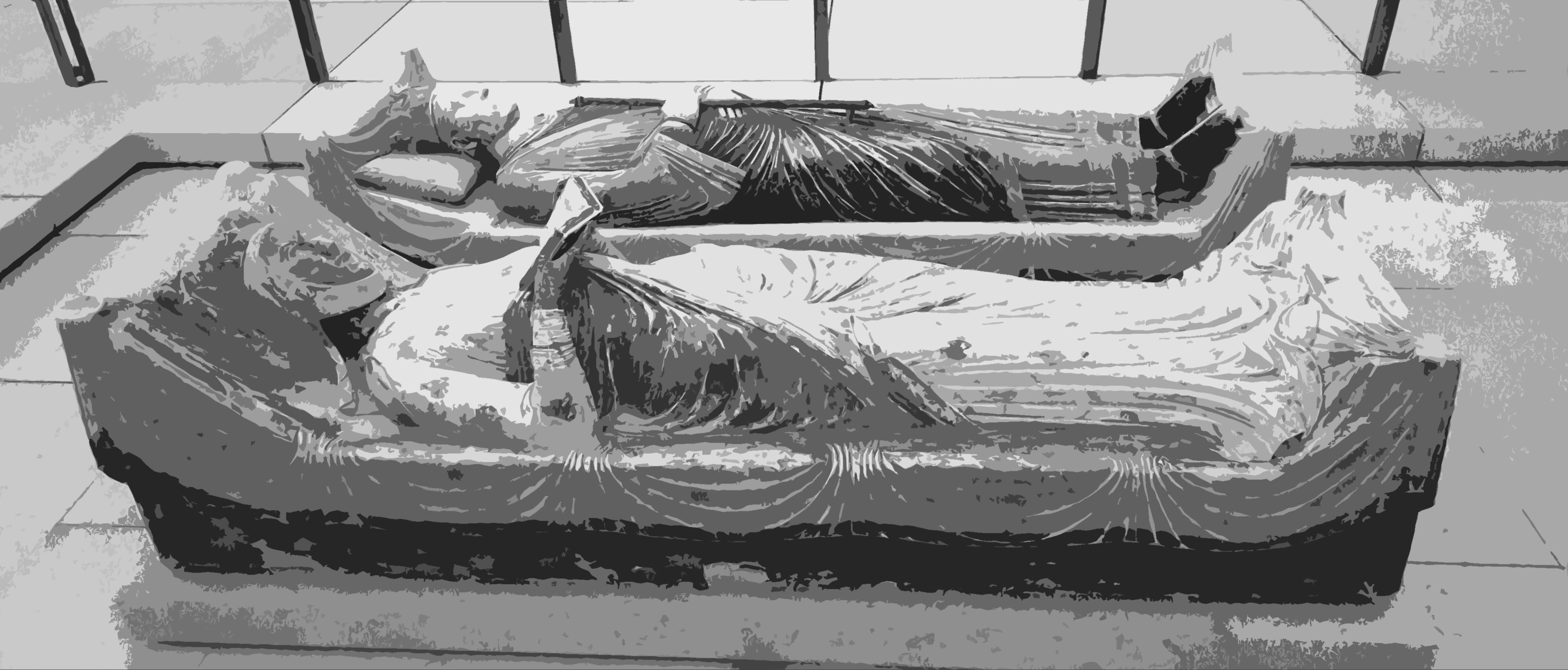 Aliénor d’Aquitaine : figure de Nouvelle-Aquitaine